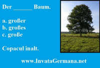Exercitii de gramatica germana rezolvate - Invata Germana ABC